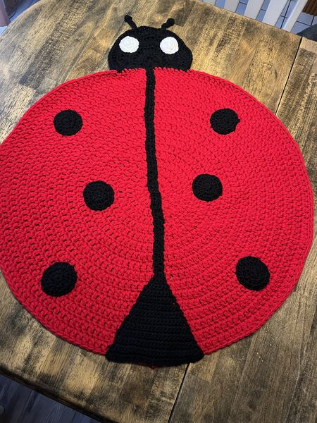 Ladybug Rug (New) - Yellowknife Hobbies, crafts For Sale - YKTrader ...